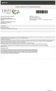 Nueva empresa - VUMIPYMES